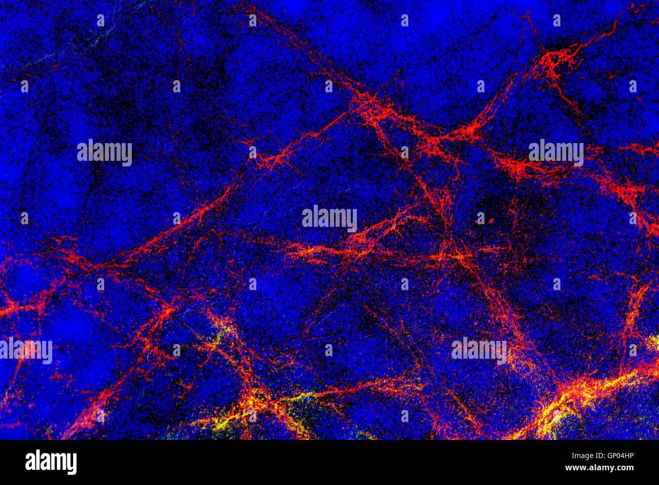 Tentacle texture hi-res stock photography and images - Alamy