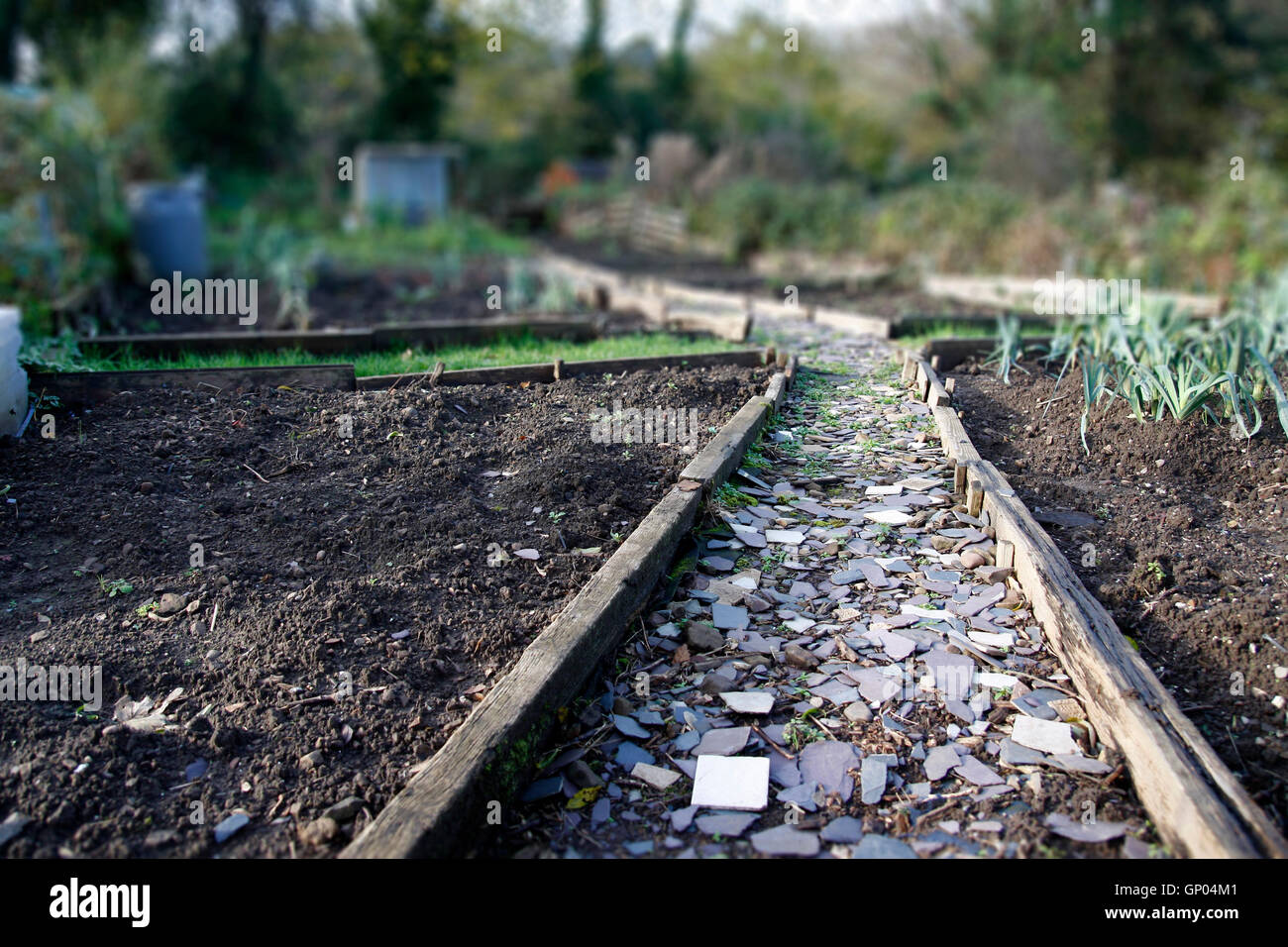 Allotment bed hi-res stock photography and images - Alamy