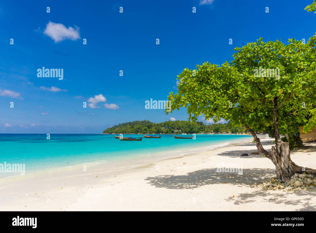 Green tree on white sand beach blue sky. Tropical beach in Lipe Satun ...