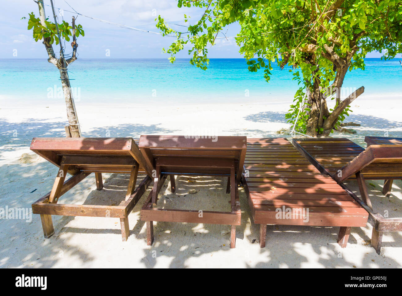 Green tree on white sand beach blue sky. Tropical beach in Lipe Satun ...