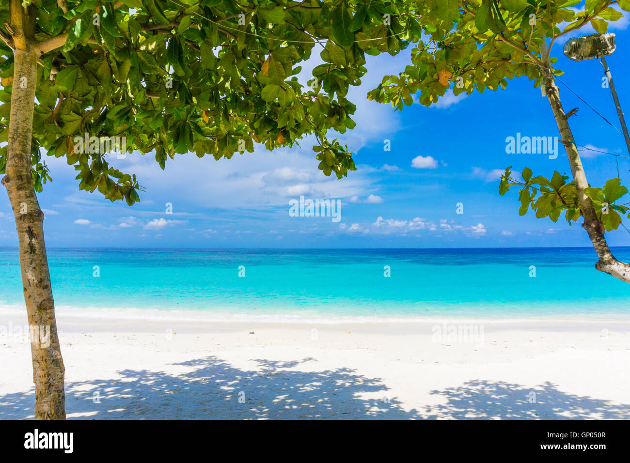 Green tree on white sand beach blue sky. Tropical beach in Lipe Satun ...