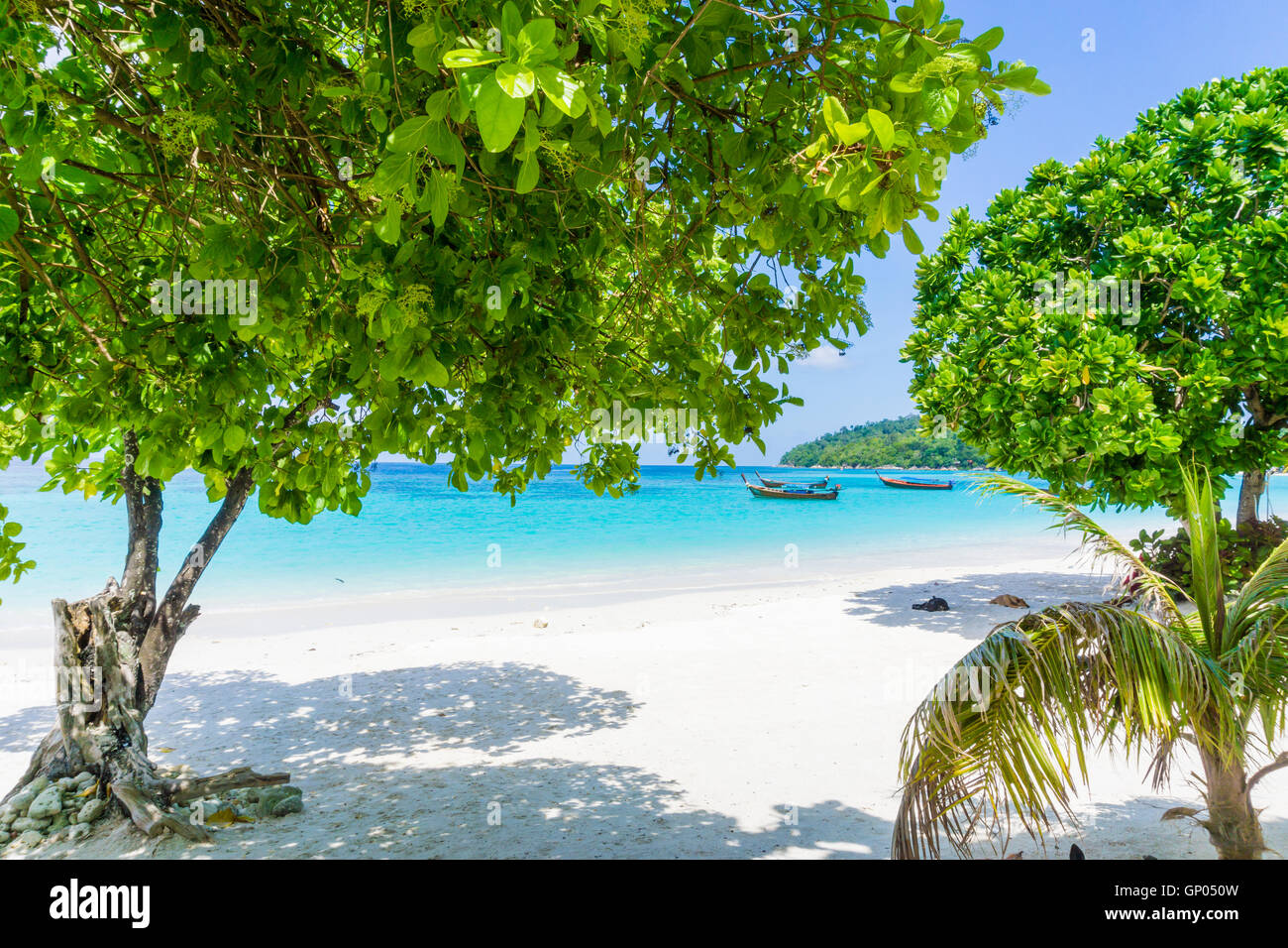 Green tree on white sand beach blue sky. Tropical beach in Lipe Satun ...