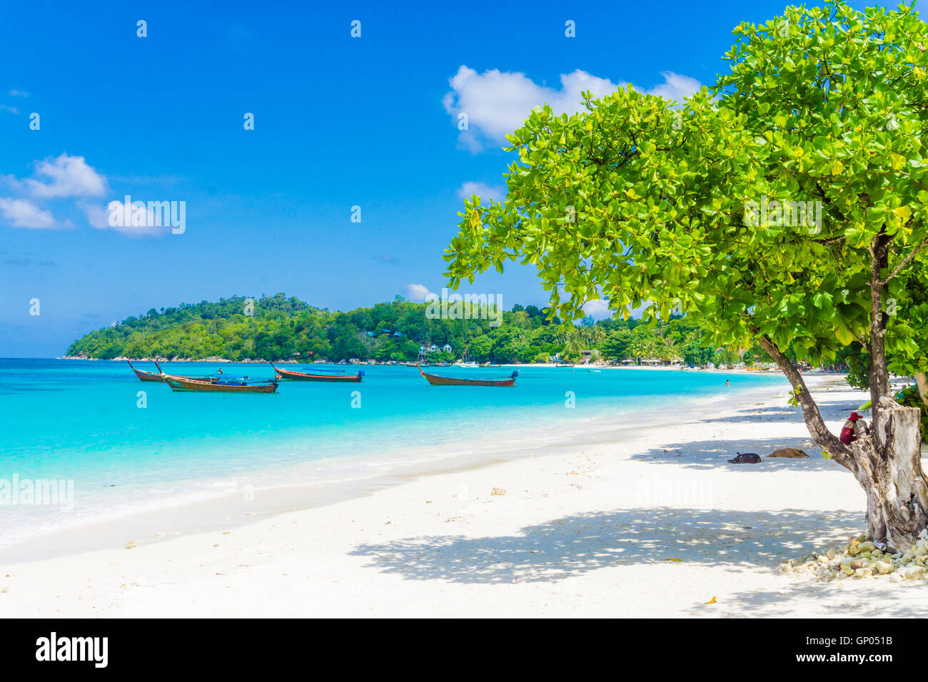 Green tree on white sand beach blue sky. Tropical beach in Lipe Satun ...
