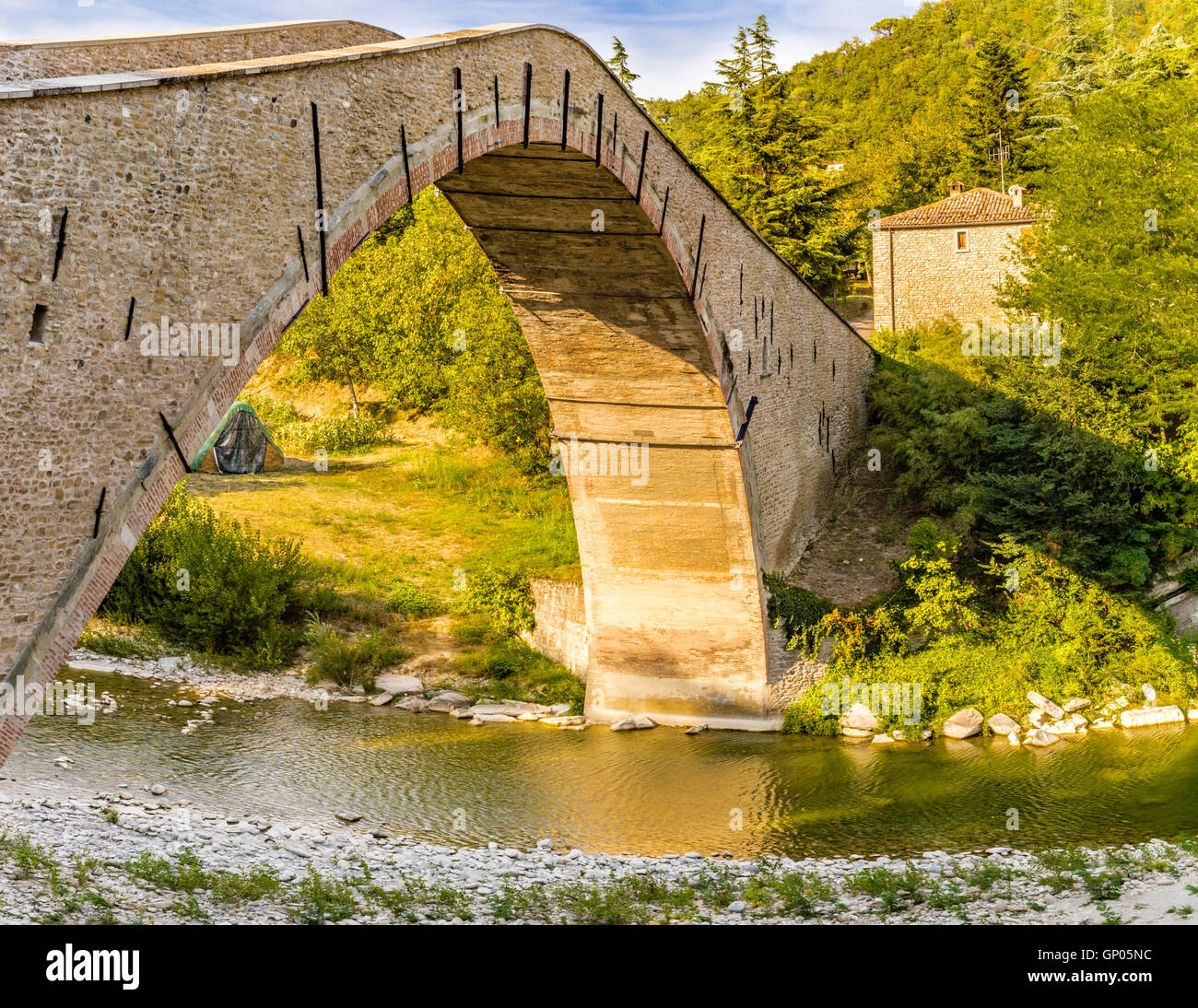 Hog backed hi-res stock photography and images - Alamy