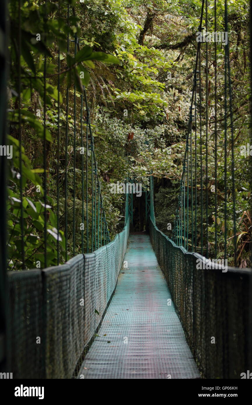 Rope bridge in the Monteverde Cloud Forest area in Costa Rica Stock ...