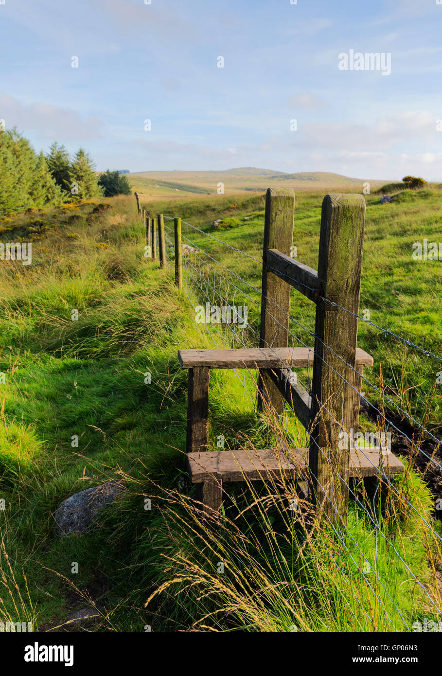 Bodmin moor landscape trees hi-res stock photography and images - Alamy
