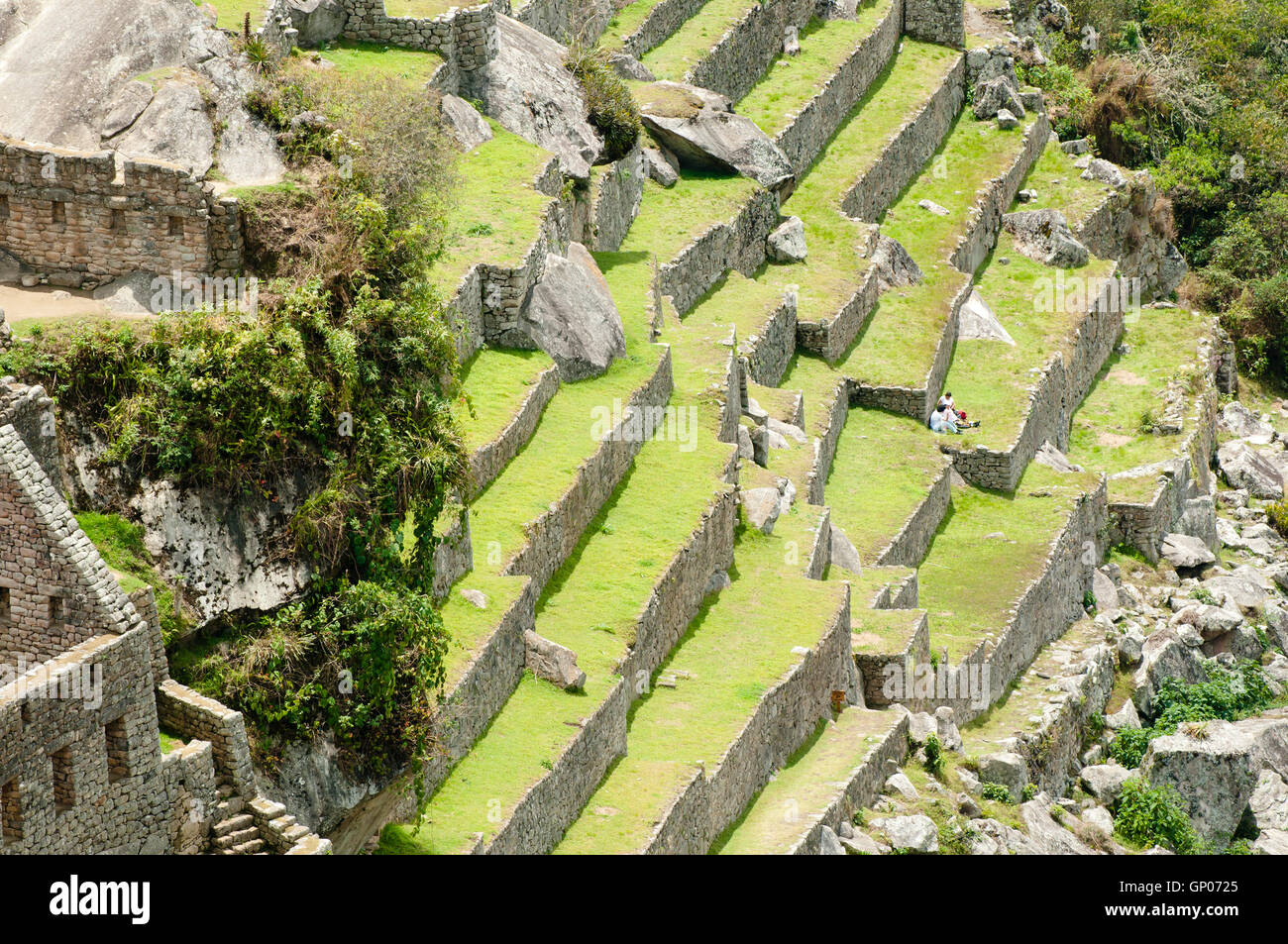 Machu Picchu Steep Terraces - Peru Stock Photo - Alamy