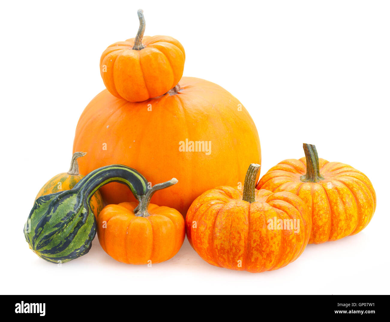 Pile fresh raw pumpkins Cut Out Stock Images & Pictures - Alamy