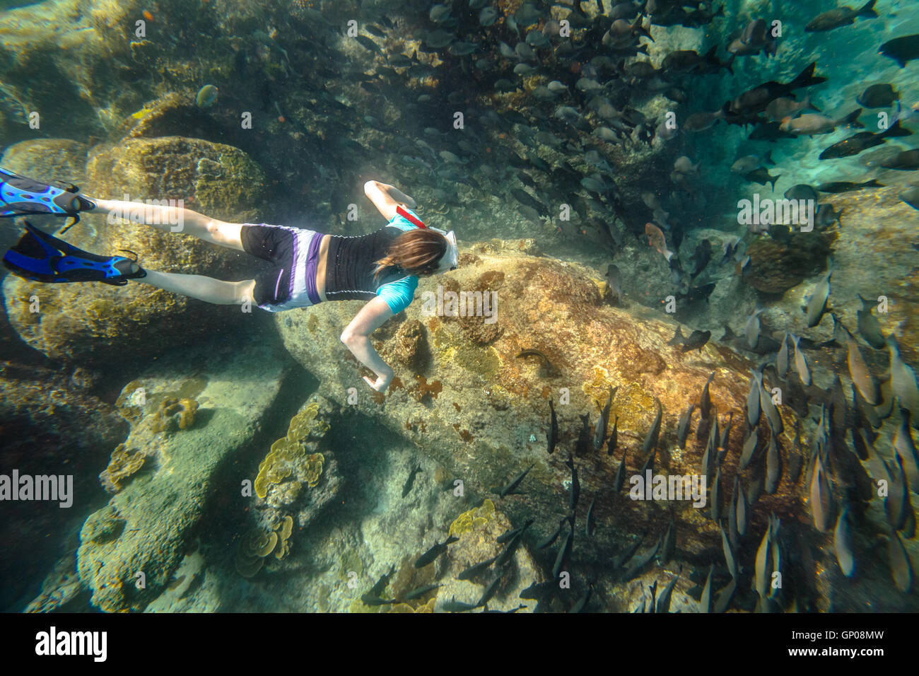 Man free diving Stock Photo - Alamy