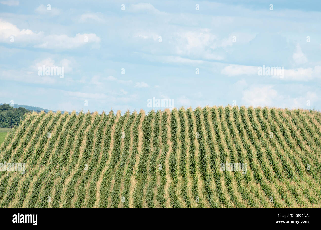 Ohio Farm High Resolution Stock Photography and Images - Alamy