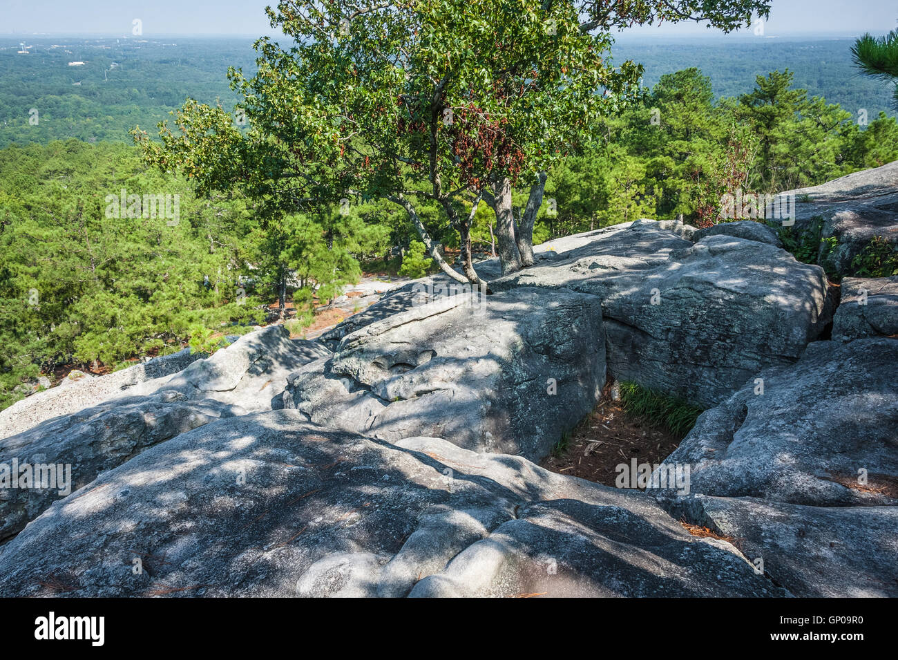View from the hiking trail on Atlanta, Georgia's landmark Stone ...