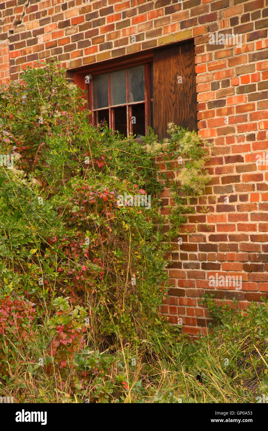Western Clay Manufacturing Company ruins, Archie Bray Foundation for ...