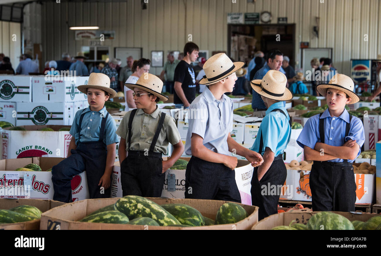 Amish boys hi-res stock photography and images - Alamy