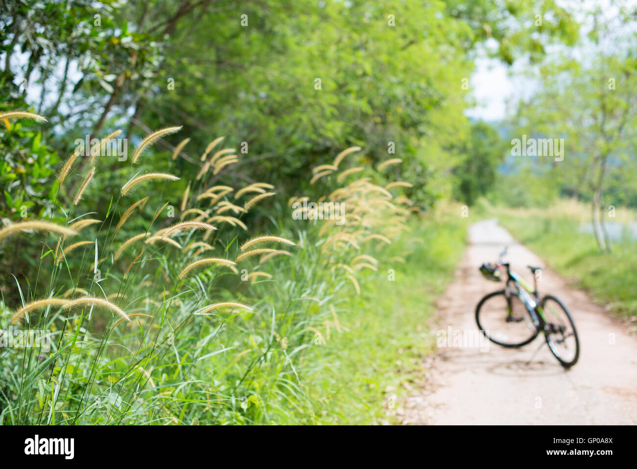 Bike Stop