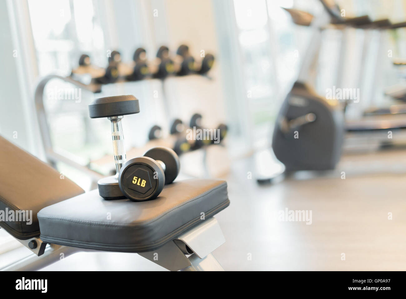 Two dumbbells on the exercise bench. Gym equipment Stock Photo - Alamy