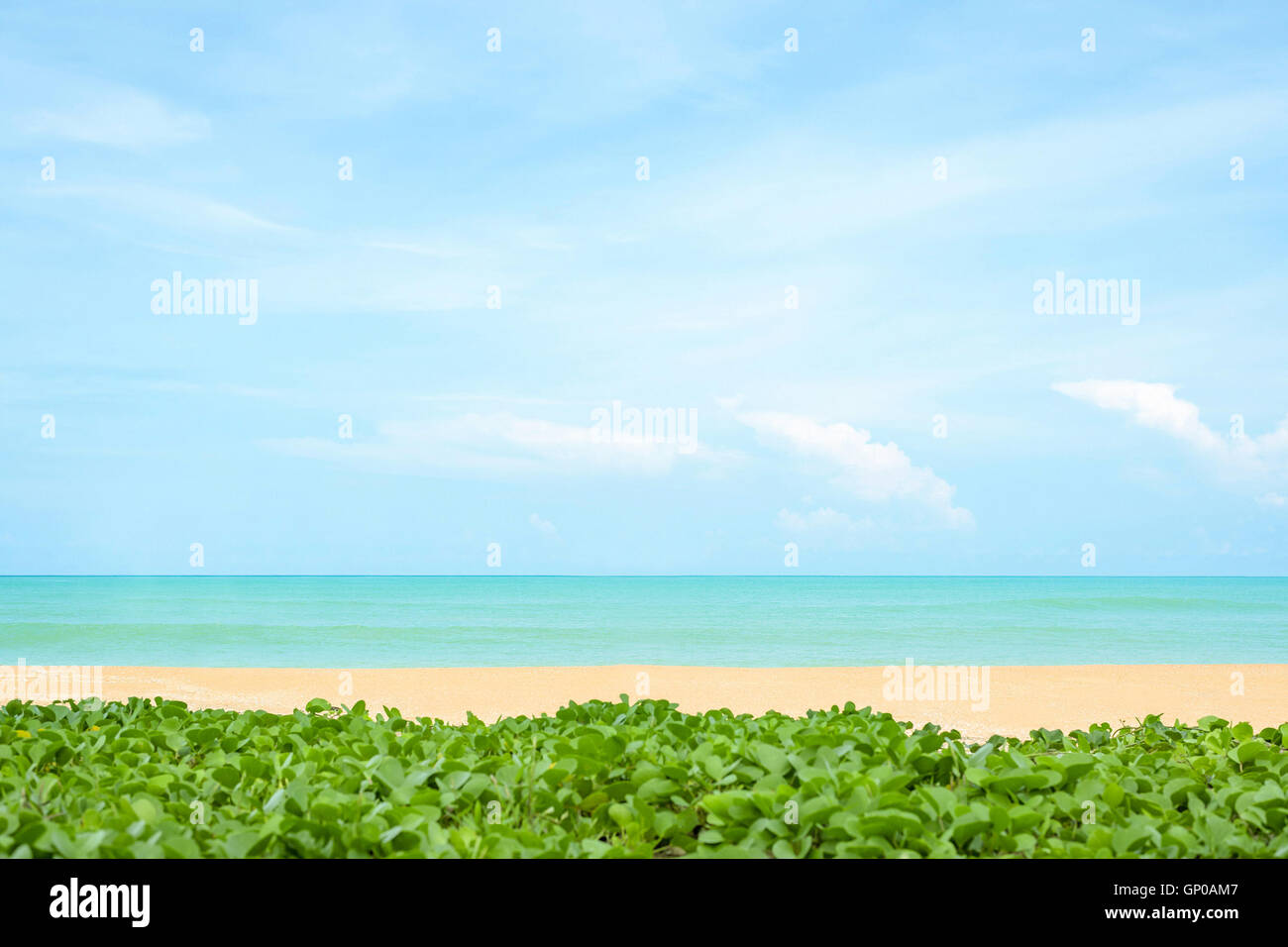 Sea foreground beach background hi-res stock photography and images - Alamy