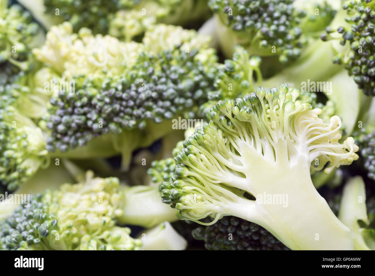Broccoli tree hi-res stock photography and images - Alamy