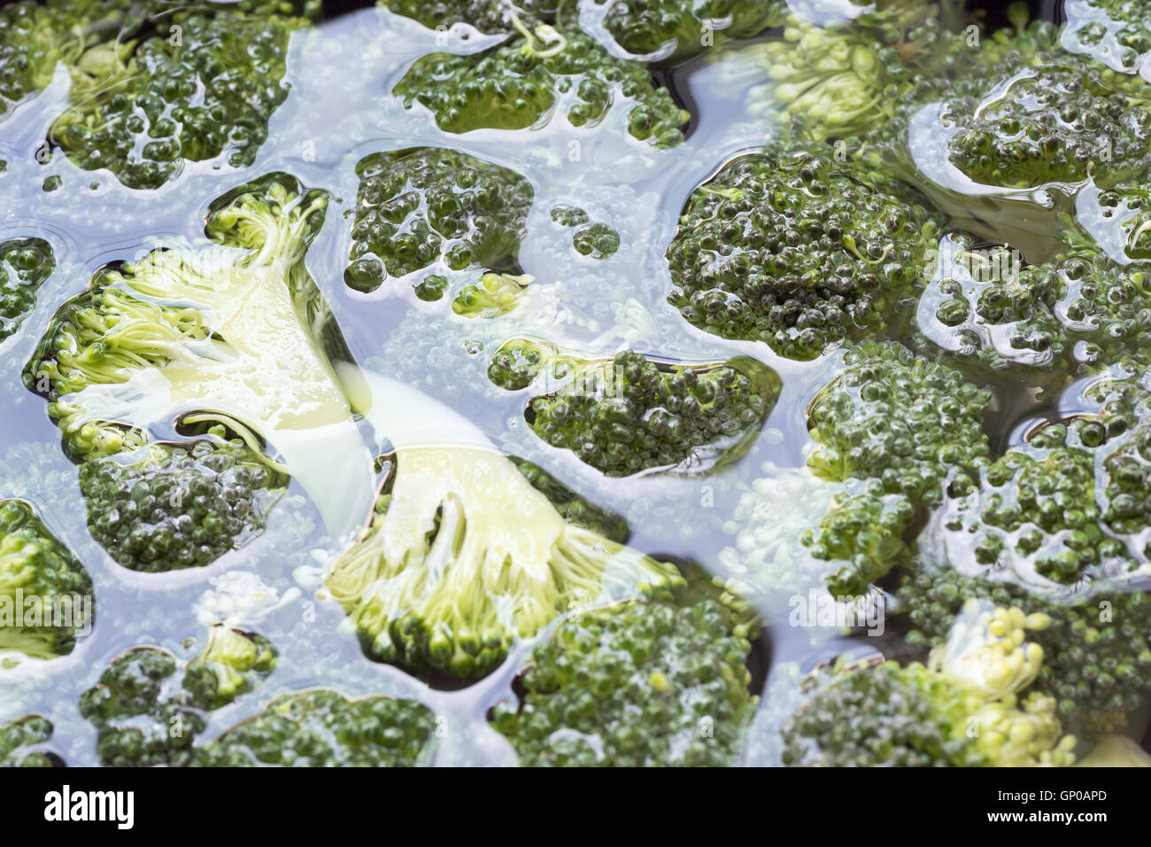 Green broccoli sliced in the water, close up Stock Photo - Alamy