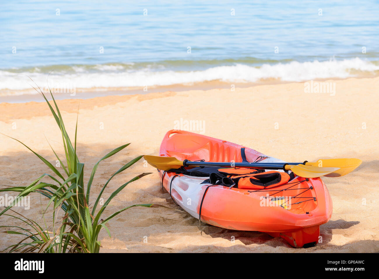 A canoe on the beach with paddles and life jacket at sunny day Stock ...