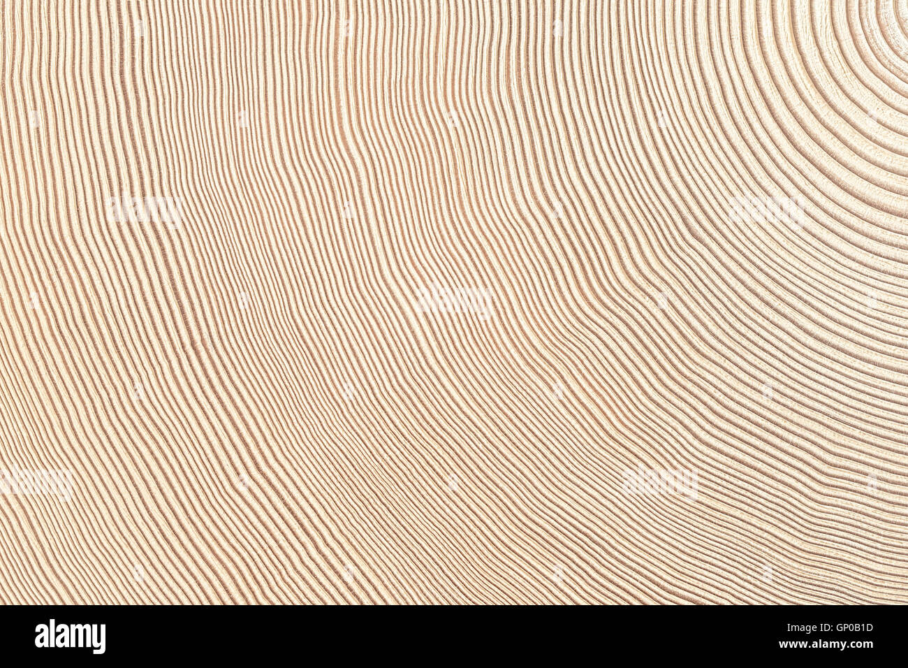 Wooden cut texture, abstract or nature background Stock Photo - Alamy