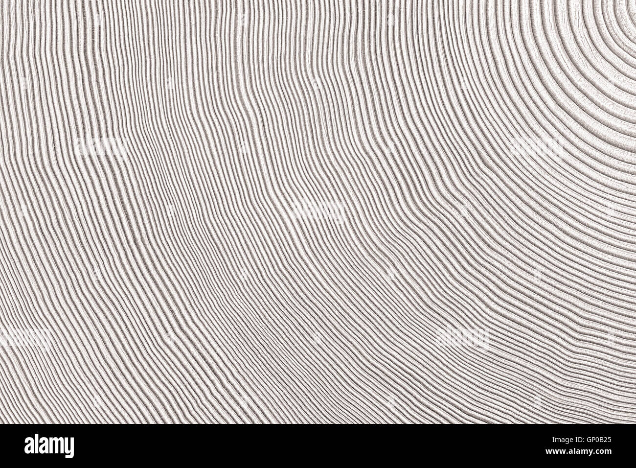 Wooden cut texture, abstract or nature background Stock Photo - Alamy