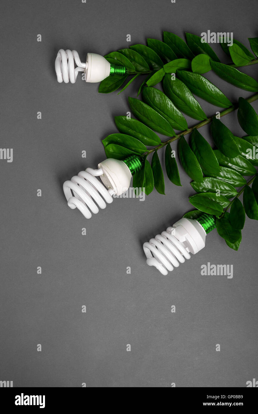 Three LED lamp with green leaf, ECO energy concept, close up. Light ...