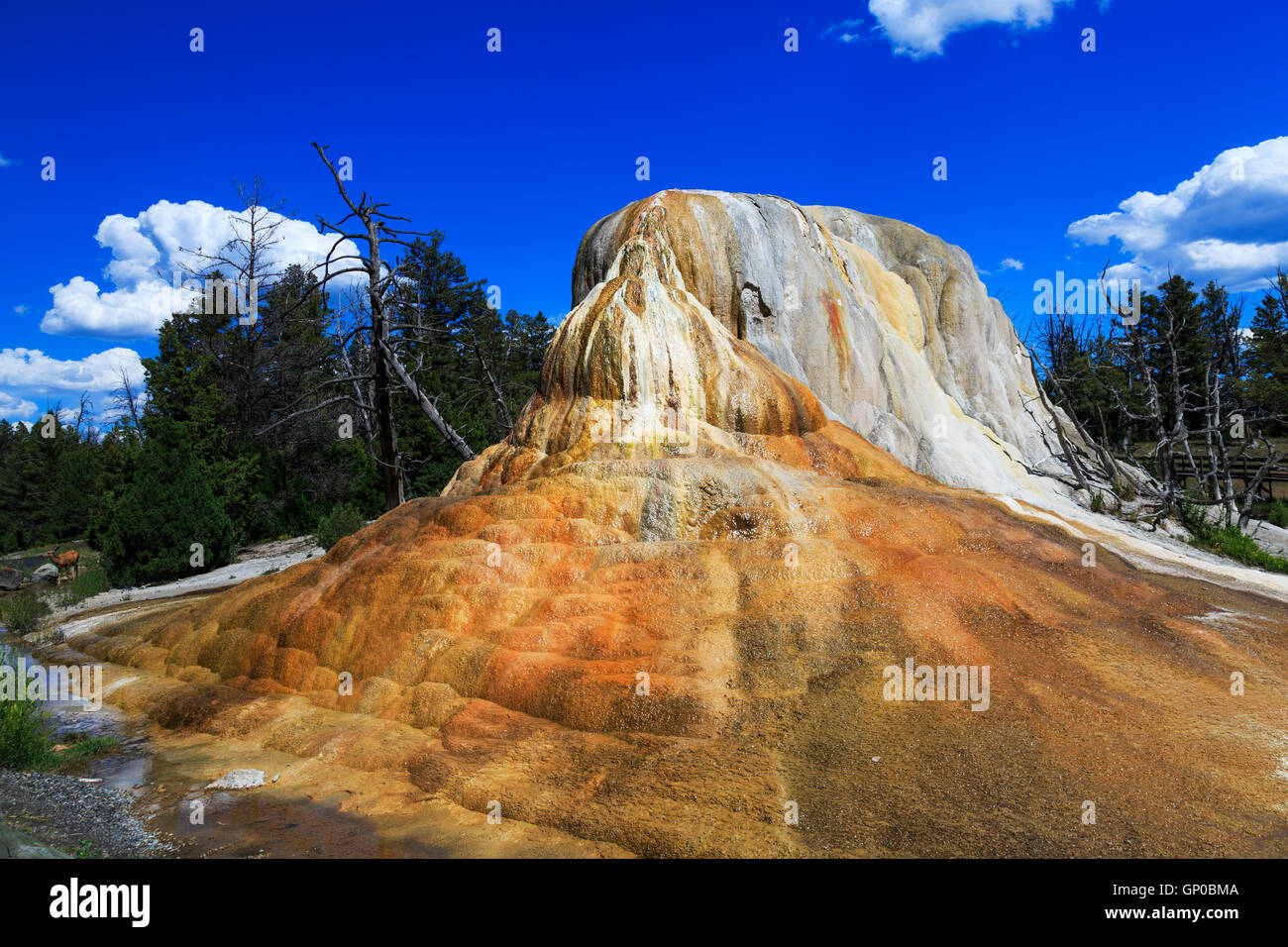 Mound spring hi-res stock photography and images - Alamy