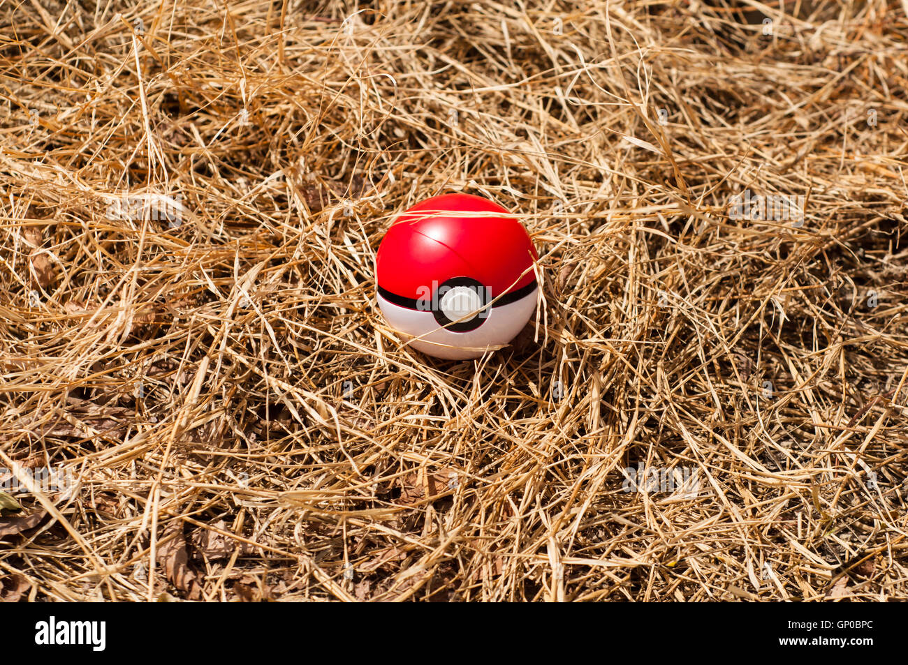 Pokeball in yellow dry Straw Stock Photo - Alamy