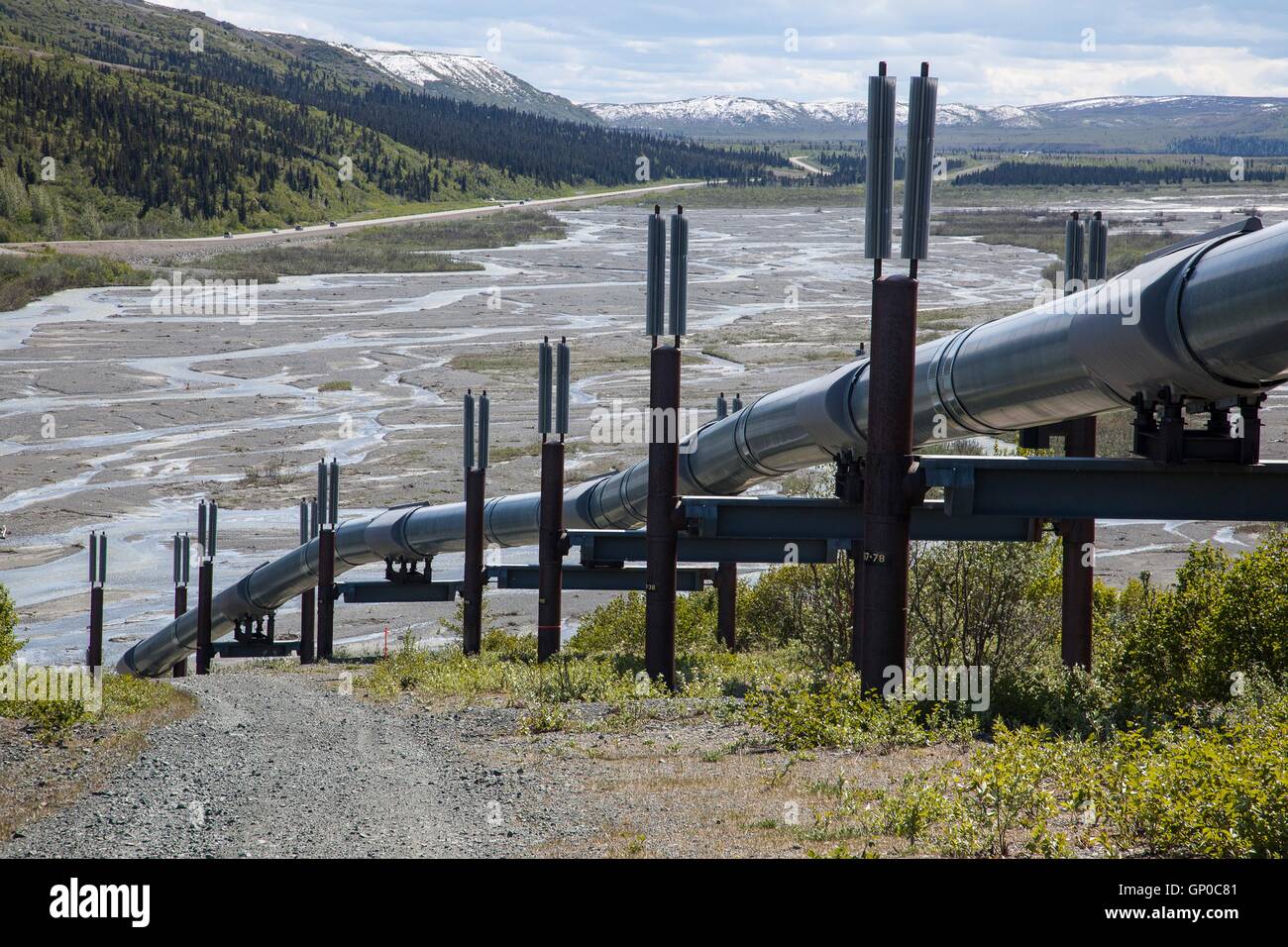 The trans Alaskan pipeline snakes over the Gulkana River in Alaska ...