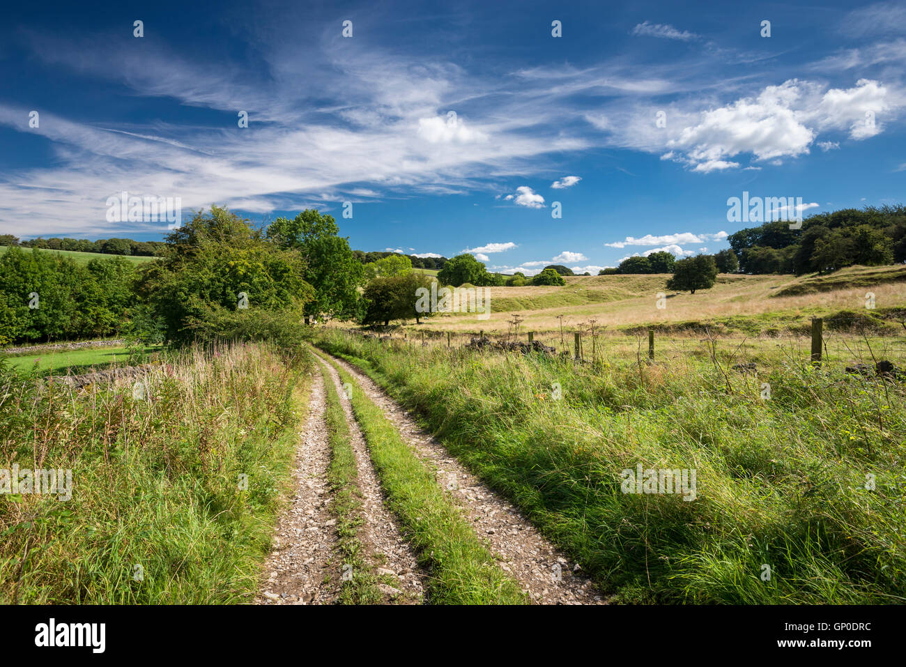 A rural farm track in the English countryside on a beautiful summer day ...
