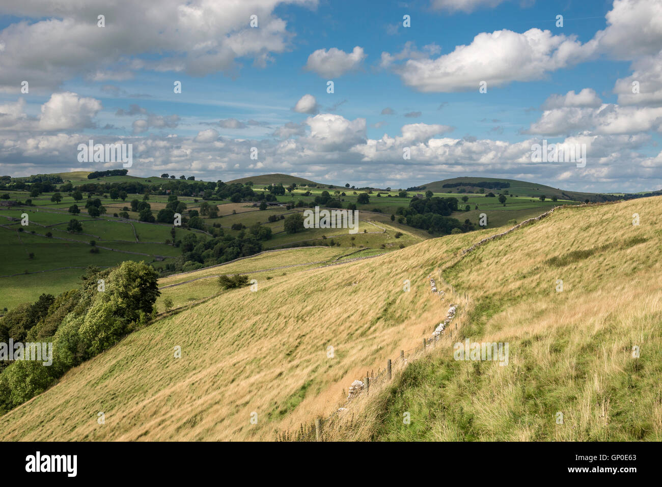 A grassy hillside high above Dove Dale in the Peak District national ...