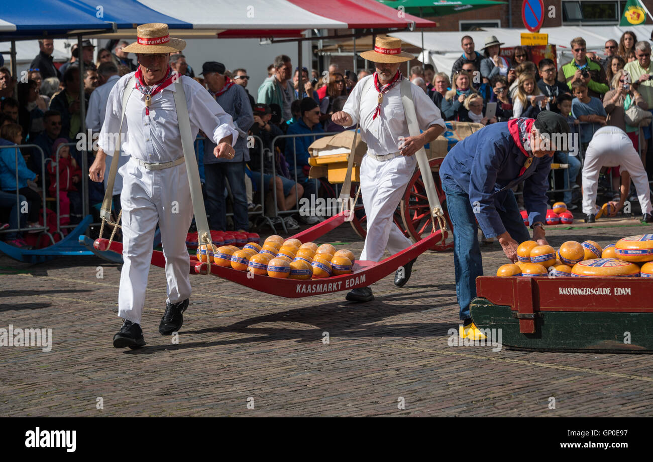 Cheese wheel run hi-res stock photography and images - Alamy