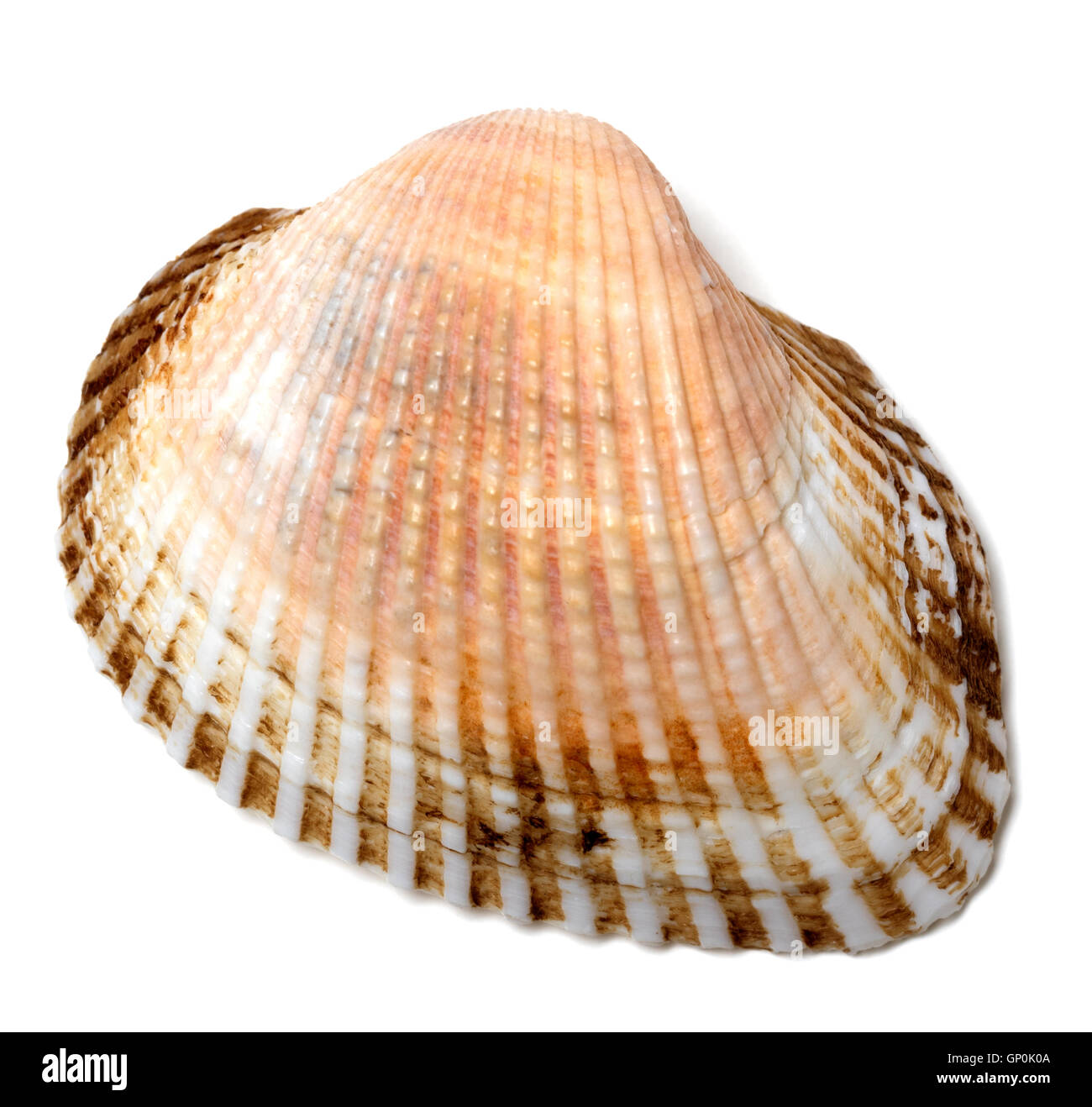 Ocean water background top Cut Out Stock Images & Pictures - Alamy