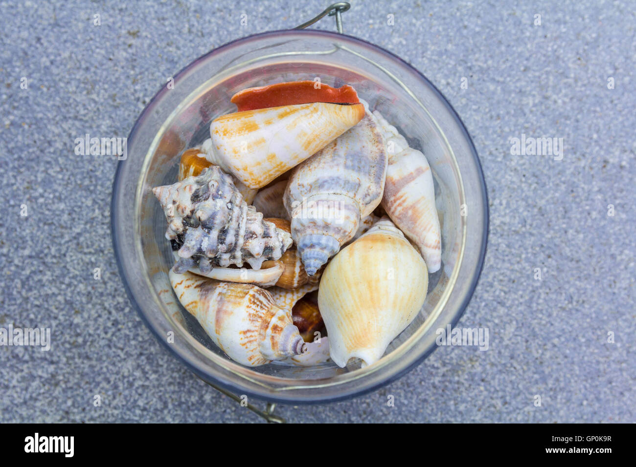 mixed ornamental sea shells in glass jar Stock Photo - Alamy