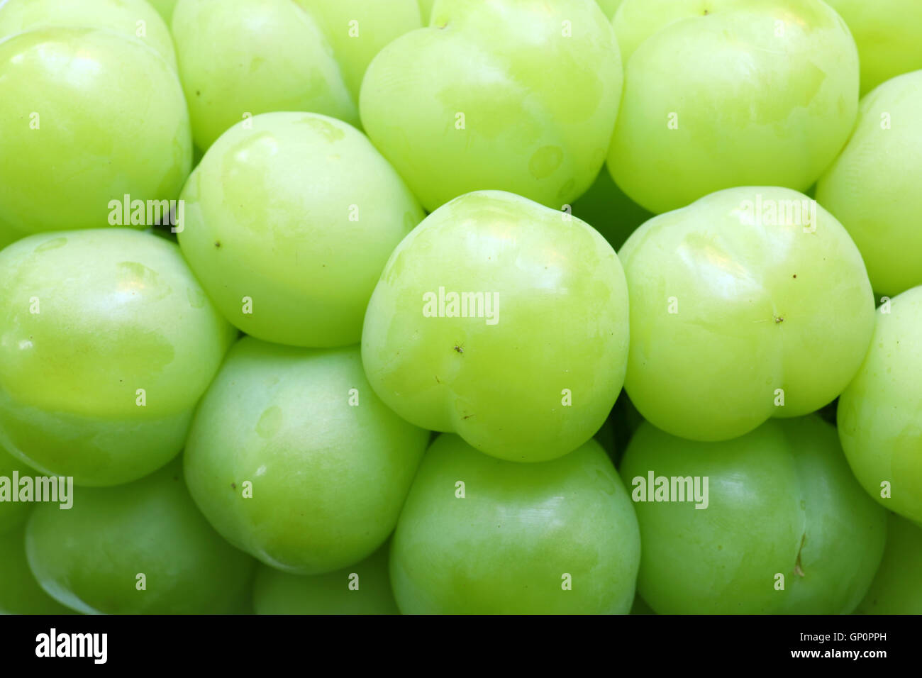 Japanese muscat fruit isolated #3 Stock Photo - Alamy