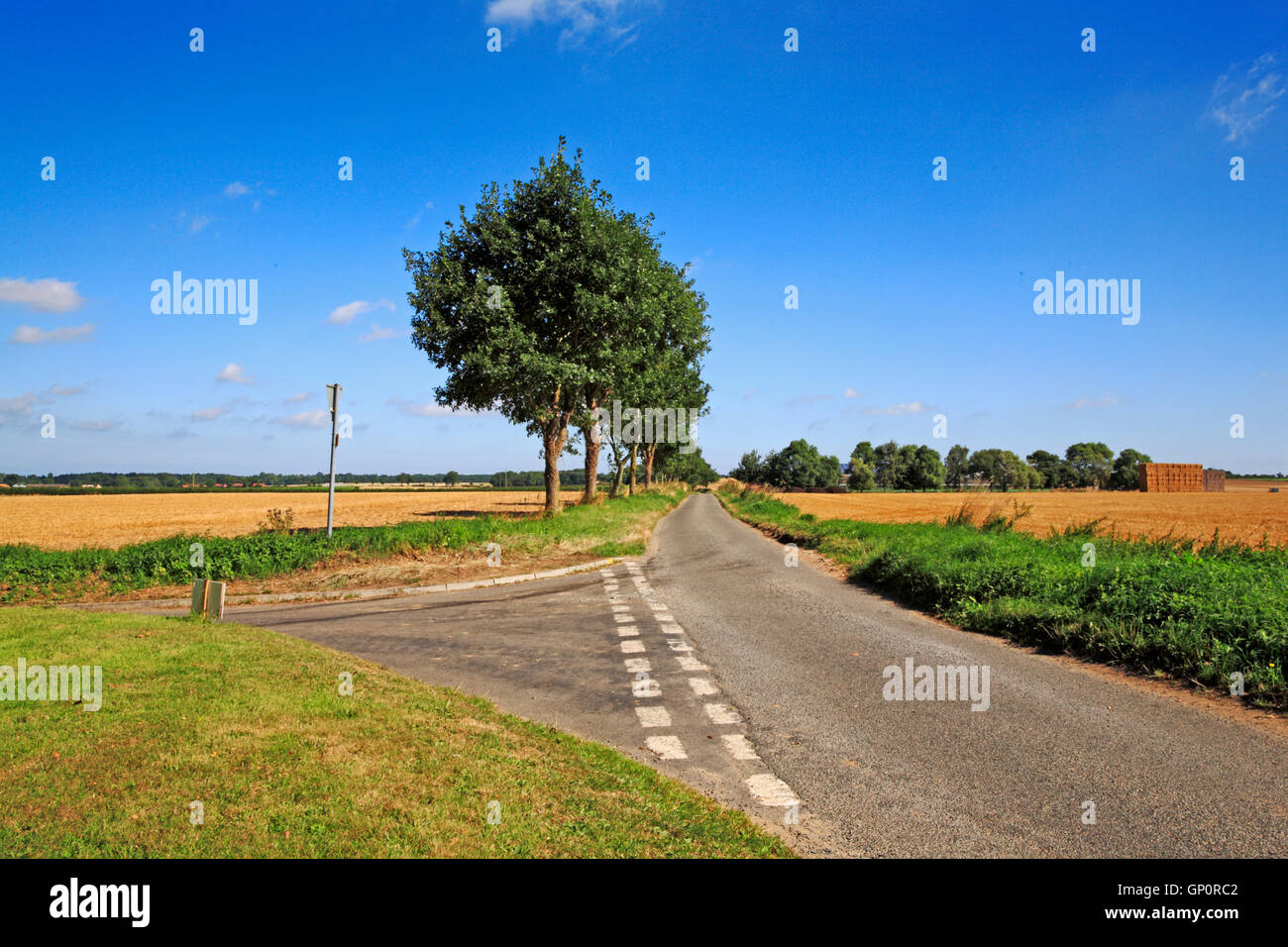 Scene landscape lane byway highway narrow communication vehicles ...