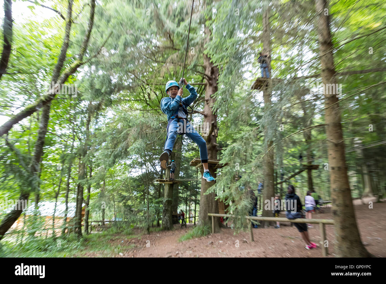 Young boy sliding during tree climbing activity Stock Photo - Alamy
