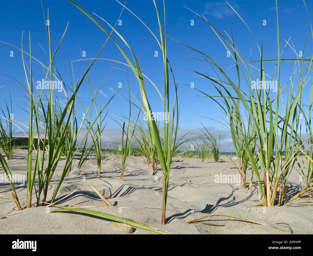 Popham beach hi-res stock photography and images - Alamy