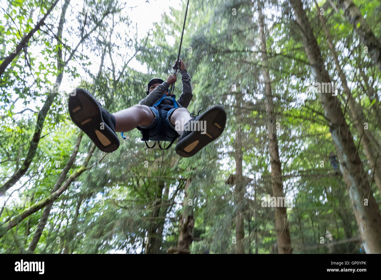 Young boy sliding during tree climbing activity Stock Photo - Alamy