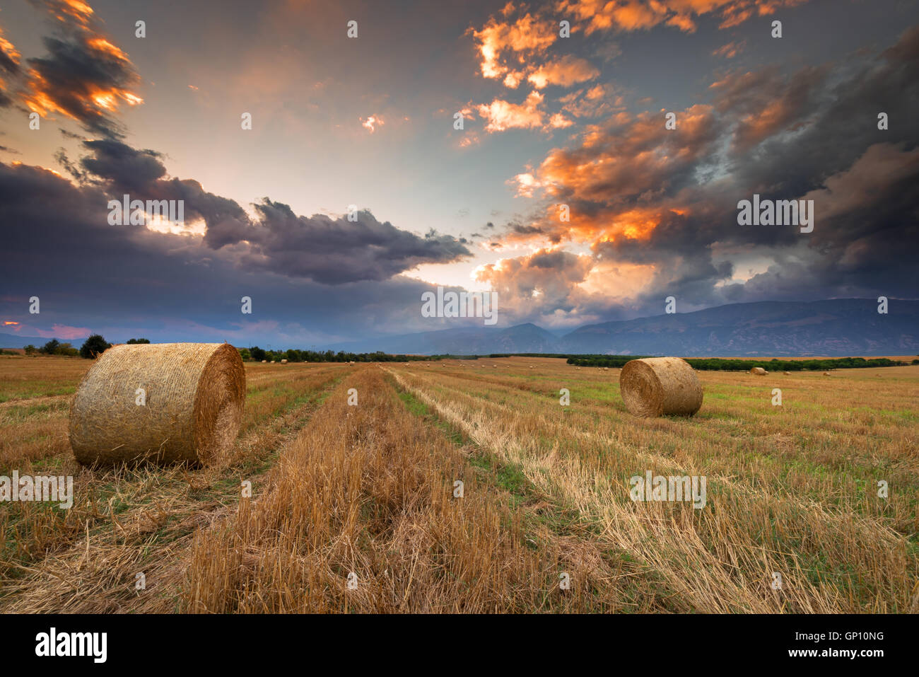 Hay Field Sunset