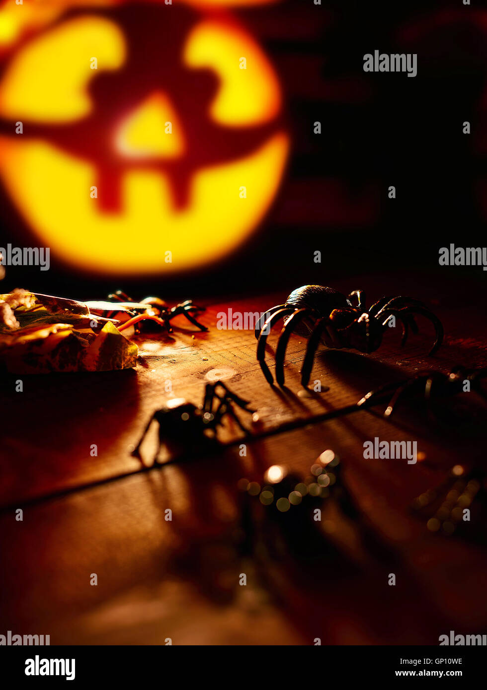 Pumpkin spider hi-res stock photography and images - Alamy