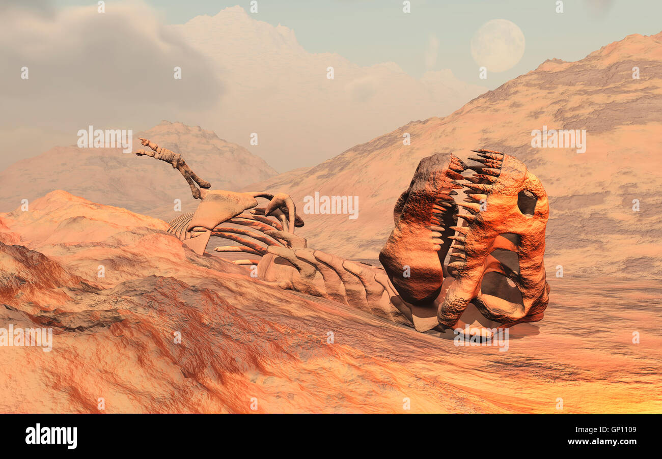 T rex tyrannosaurus skeleton hi-res stock photography and images - Alamy