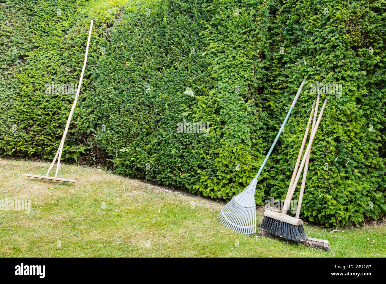 Grass rakes and brushes leaning against a yew hedge at Great Dixter ...