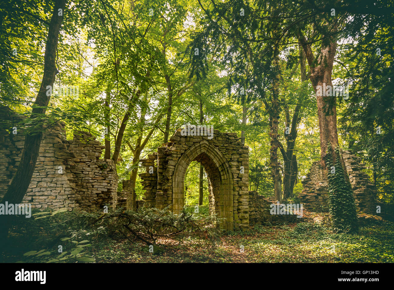 Old castle ruins in green forest Stock Photo - Alamy