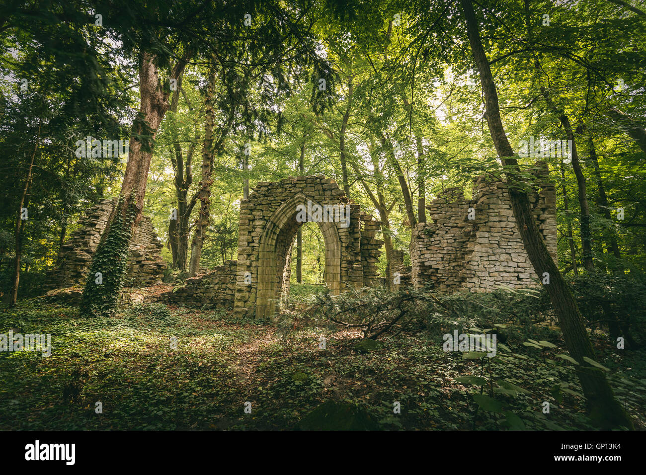 Ruins in the forest surrounded by trees Stock Photo - Alamy