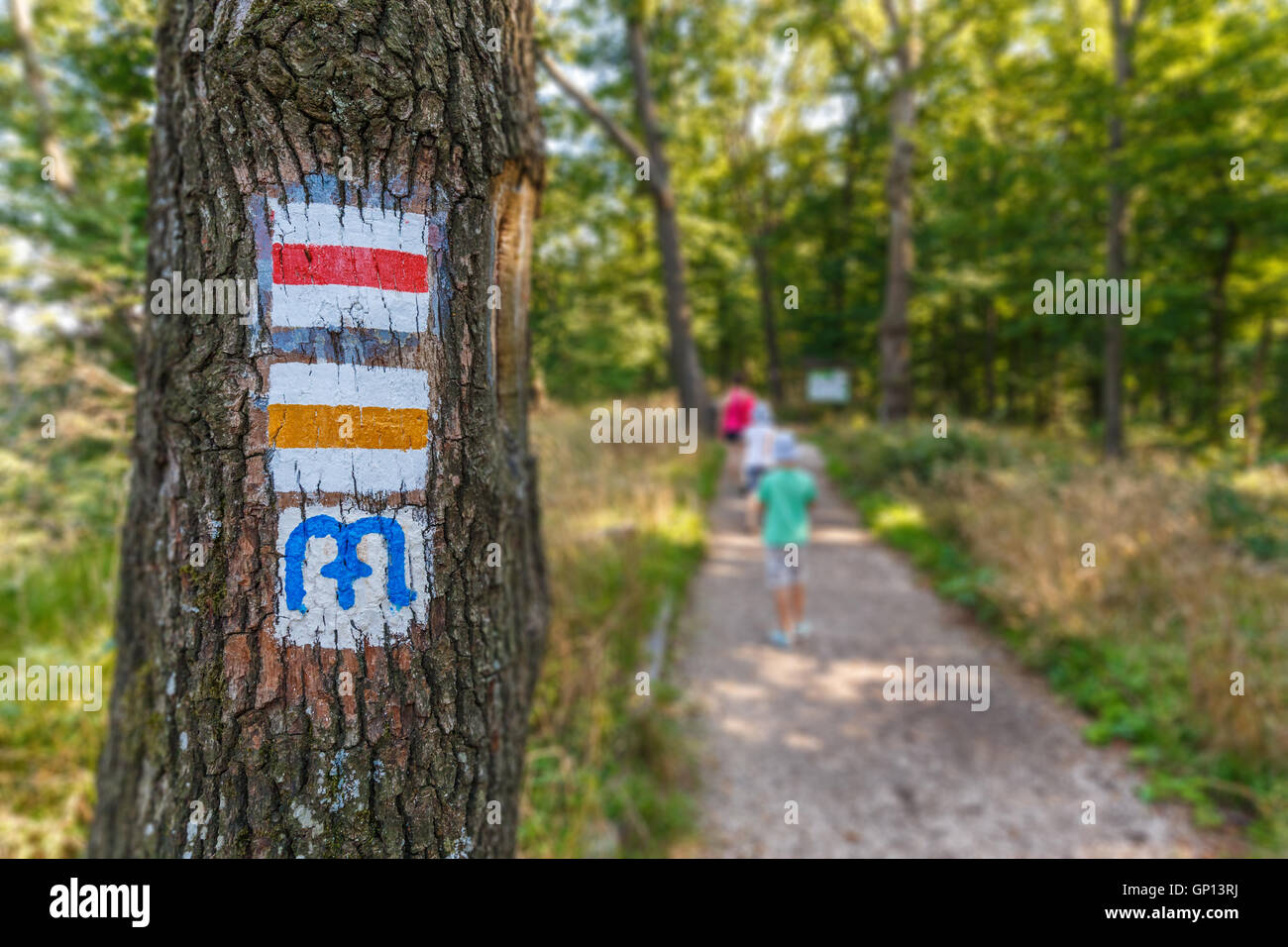 Colorful signs for hiking tourism in a forest Stock Photo - Alamy
