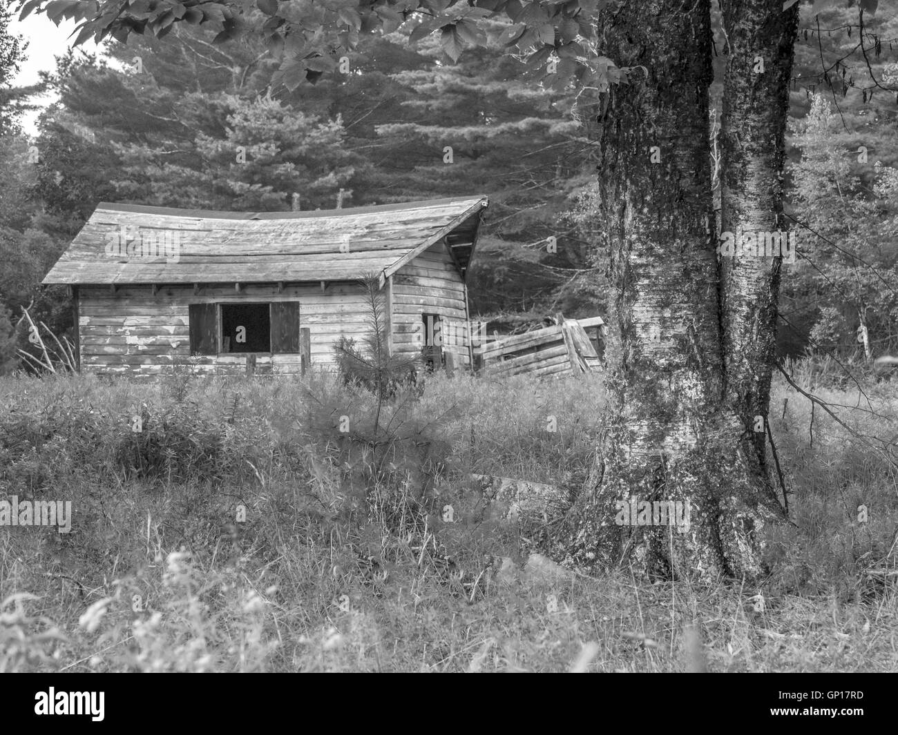 Old run down shed Black and White Stock Photos & Images - Alamy