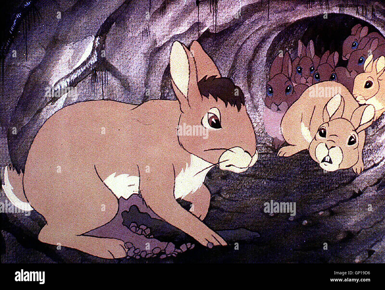 Watership Down High Resolution Stock Photography and Images - Alamy