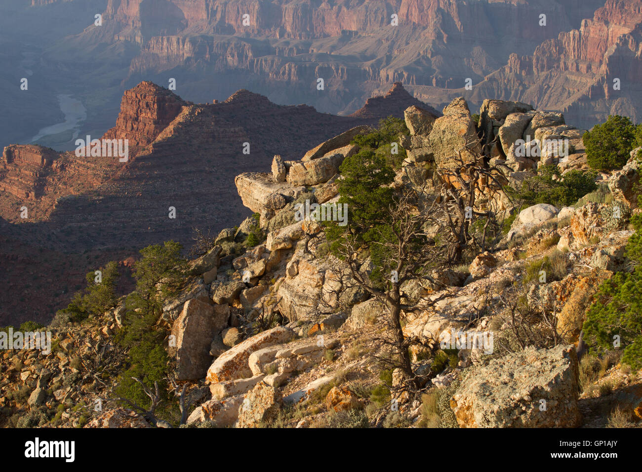 From the south rim hi-res stock photography and images - Alamy