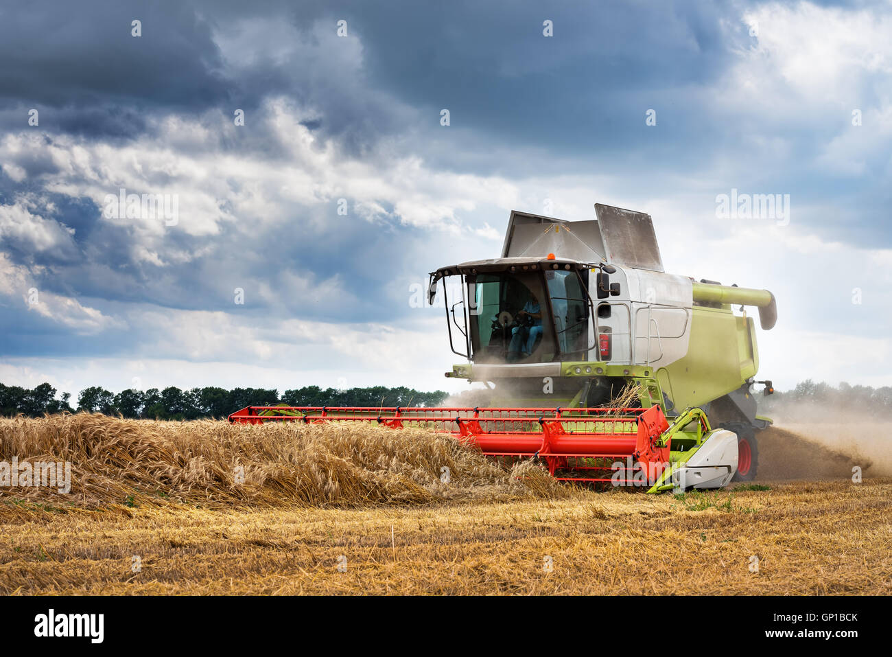 Working Harvesting Combine in the Field of Wheat Stock Photo - Alamy